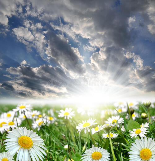 Poem contest 'Everlasting Life' - All Poetry