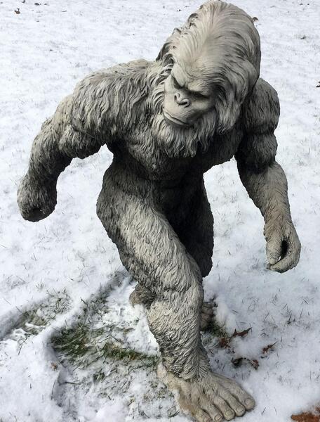 Poem contest All About Bigfoot or Sasquatch Contest - All Poetry