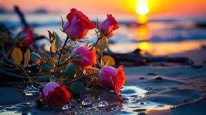 Poem contest #1521 MAX 6 lines - IMAGE is prompt - Roses - All Poetry