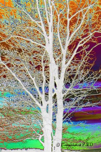 Poem contest abstract tree art ~ personification - All Poetry