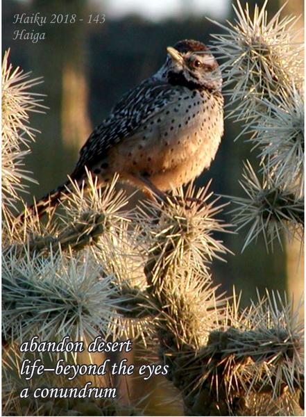 Cactus Poems - Modern Award-winning Cactus Poetry : All Poetry