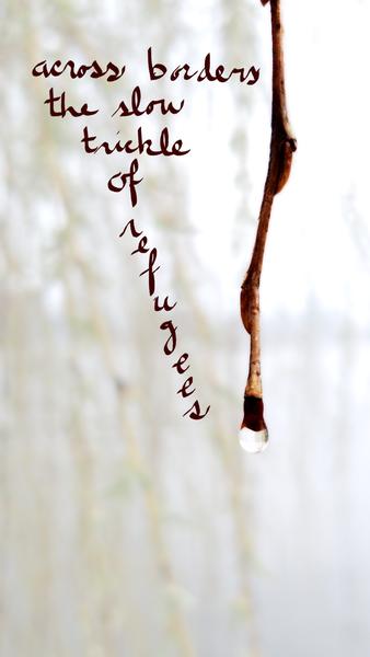 Poem contest Haiga - Write the haiku - All Poetry