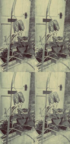 Peppermint Poems - Modern Award-winning Peppermint Poetry : All Poetry