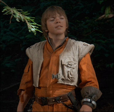 Poem contest Star Wars Vol. 20 ~ Ewok Adventures - All Poetry