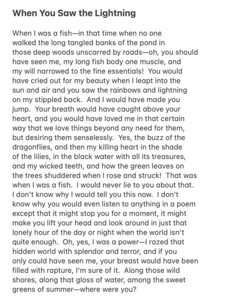 Poem contest Frank X. Gaspar Poem Prompt - All Poetry