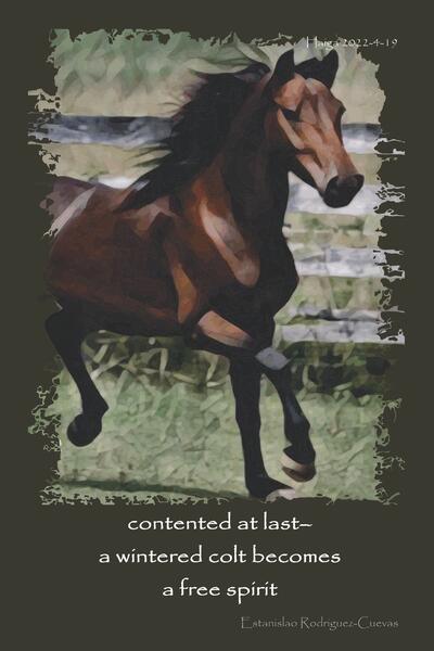 Colt Poems - Modern Award-winning Colt Poetry : All Poetry