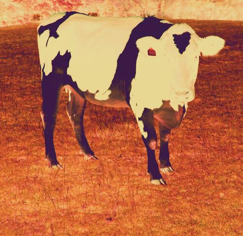 Slang Poems - Modern Award-winning Slang Poetry : All Poetry