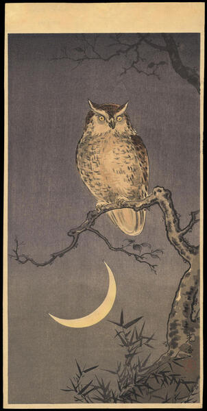 Poem contest Haiku prompt day 12 ~ Owl - All Poetry