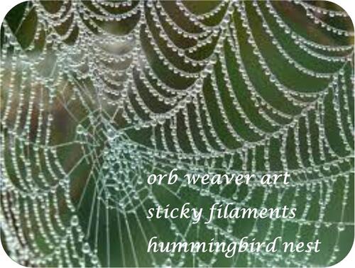 [orb weaver art] - a poem by Imagery - All Poetry