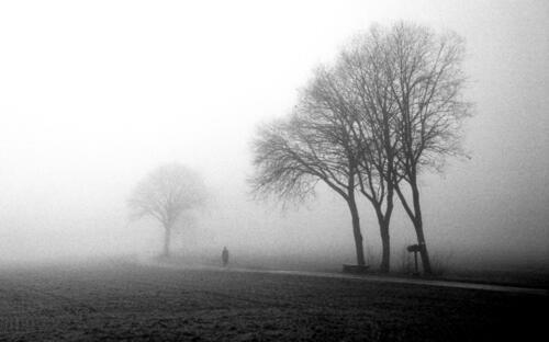 Poem contest Break on Through...the fog is rising - All Poetry