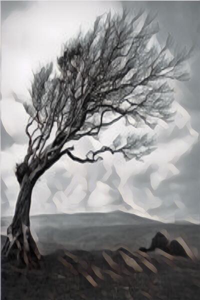 Summer Days and Howling Winds - a poem by Flowermuse - All Poetry