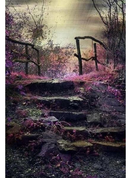 Steps of Nature, steps of life. - a poem by Solange Loe-Sack-Sioe - All ...