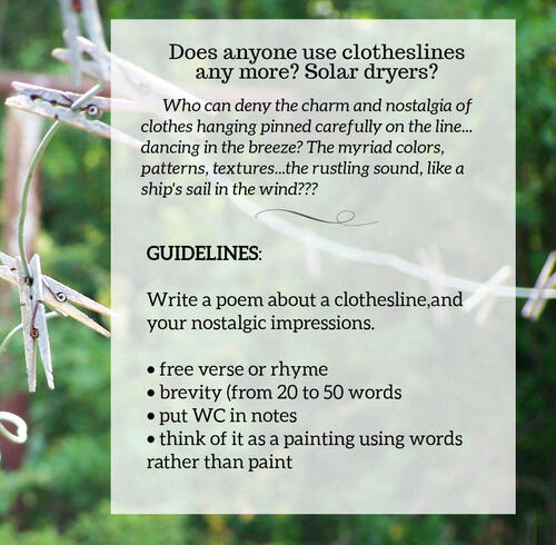 Poem contest ==Clothesline • • • brevity, quickie - All Poetry