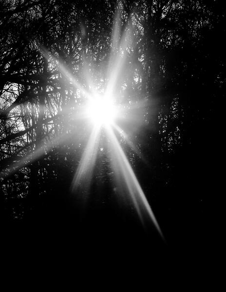 Boxing Poems - Modern Award-winning Boxing Poetry : All Poetry