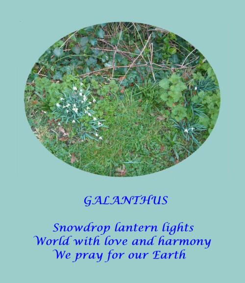 Snowdrops - a poem by Rosewinter515 - All Poetry