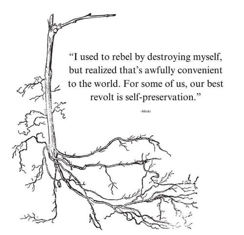 Poem contest Self-preservation for LNP's Part Sinner, Part Saint - All ...