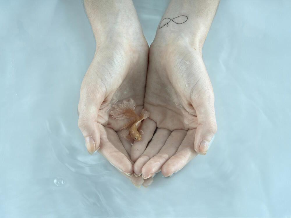 Poem contest Break On Through... the photography of Petrina Hicks - All ...