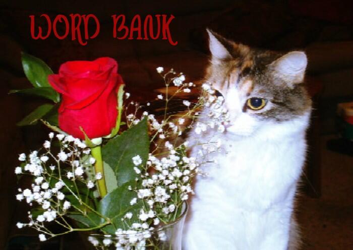 Poem contest + Word Bank + - All Poetry