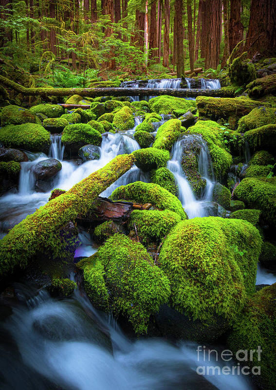 Poem contest Pick a Prompt brevity contest (128) - All Poetry