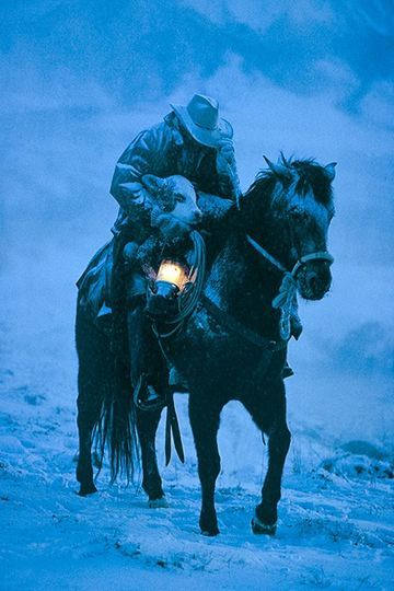 The Good Shepherd - a poem by An Old Codger - All Poetry