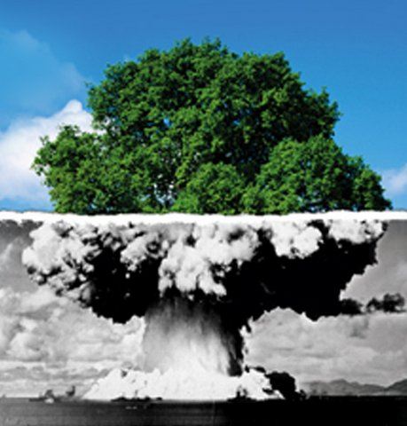 (Boom!) A Mushroom Tree - a poem by SaintAnix - All Poetry