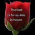 This Rose Is For My Mom In Heaven (Dedicated To My Mother) - a poem by ...