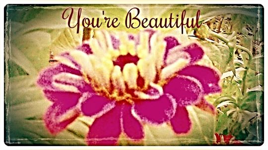 On Cliche Poetry - a column by Violet Flowers - All Poetry