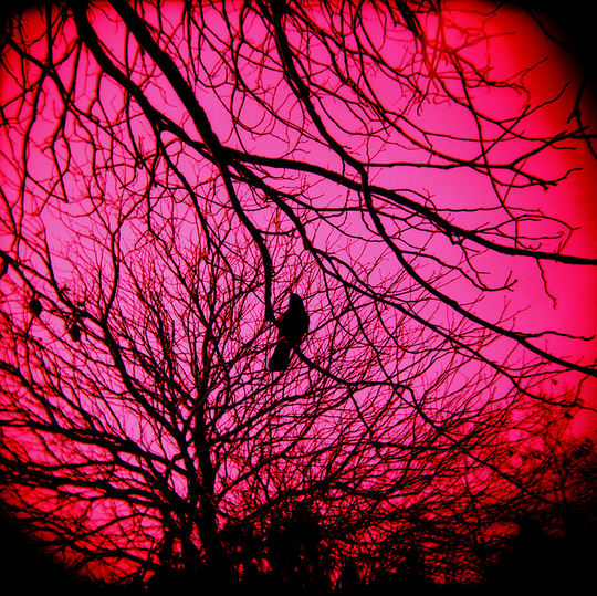 Fooled heart/Misted eyes - a poem by poetheartm - All Poetry