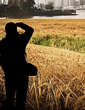 I am Holden Caulfield - a poem by jandea - All Poetry
