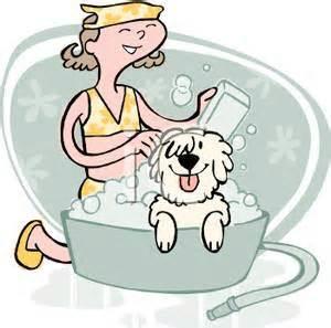 The Pet Groomer - a poem by Randy McClave - All Poetry