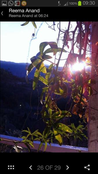 Loner's Mist - a poem by Reema Anand - All Poetry