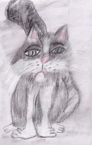 Grumpy Cat - a poem by The Golden Pen - All Poetry