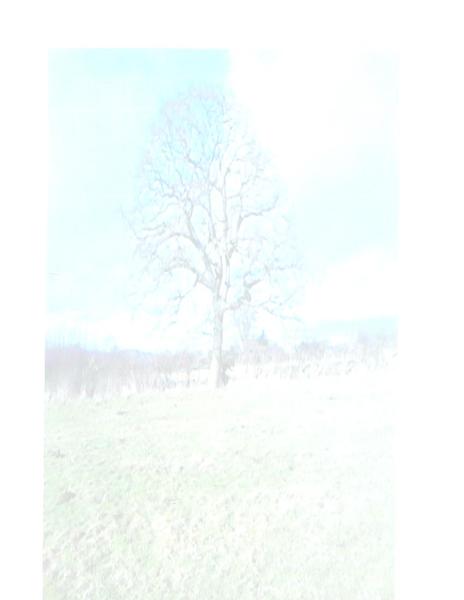 Bark bark - a poem by resarf poetry - All Poetry