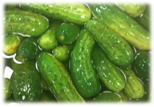 Pickle Poems - Modern Award-winning Pickle Poetry : All Poetry