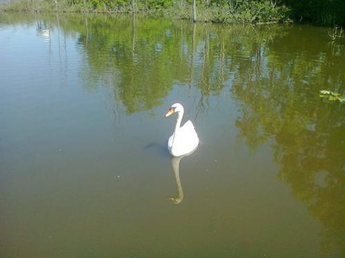 Cambodia: A Pathya Vat - a poem by venicebard - All Poetry