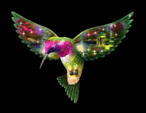 Angel Hummingbird - a poem by Vineet Gulati. All poetry poets - All Poetry
