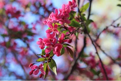 Alone In Your Eyes - a poem by BeThouMyVision - All Poetry