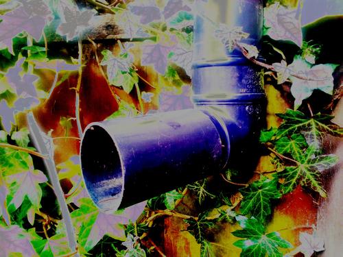 Pantomime Poems - Modern Award-winning Pantomime Poetry : All Poetry