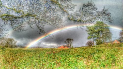 Former Poems - Modern Award-winning Former Poetry : All Poetry