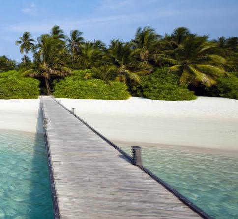 Fiji Poems - Modern Award-winning Fiji Poetry : All Poetry