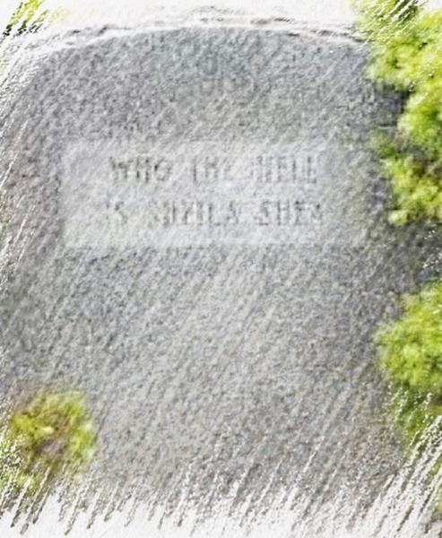 Who the hell is Sheila Shea? - a poem by Acometstale - All Poetry