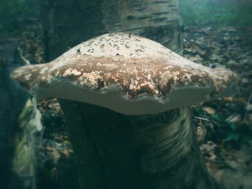 Luggage Poems - Modern Award-winning Luggage Poetry : All Poetry