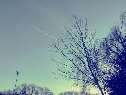 Otter Poems - Modern Award-winning Otter Poetry : All Poetry