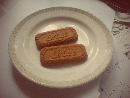 Biscuit Poems - Modern Award-winning Biscuit Poetry : All Poetry