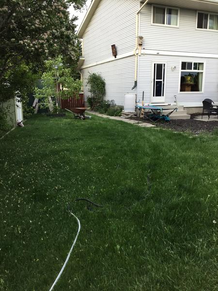 [ clear morning ] - a poem by Barantoff - All Poetry