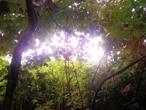 Pantomime Poems - Modern Award-winning Pantomime Poetry : All Poetry