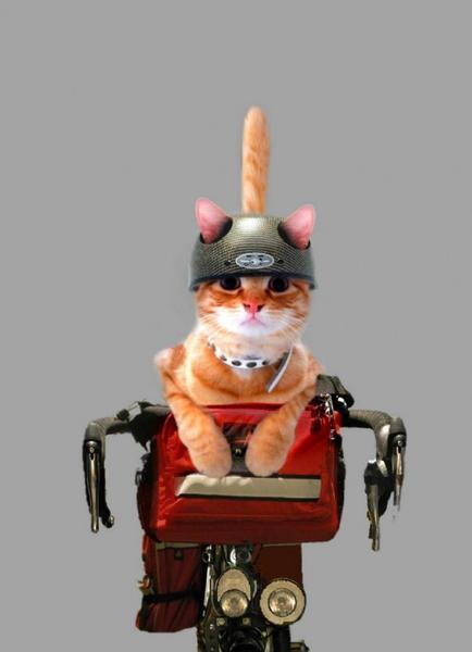 Motorcycle Poems - Modern Award-winning Motorcycle Poetry : All Poetry