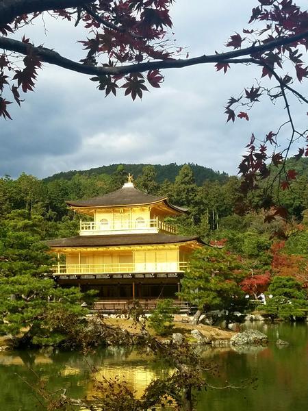 [ golden light ] - a poem by Sam Sampson - All Poetry