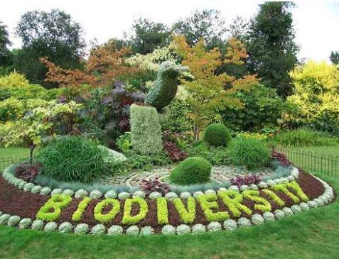 Biodiversity Poems - Modern Award-winning Biodiversity Poetry : All Poetry