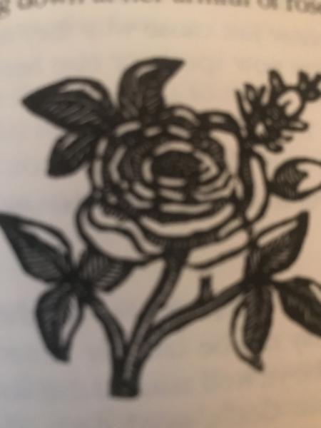 Haiku loneliness Poems - Modern Award-winning Haiku loneliness Poetry ...